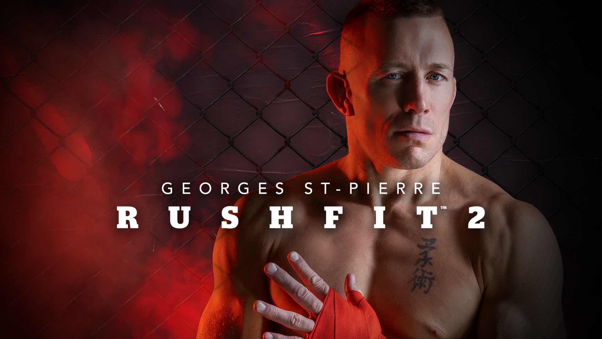 Georges St Pierre Wallpapers - Top Free Georges St Pierre Backgrounds ...