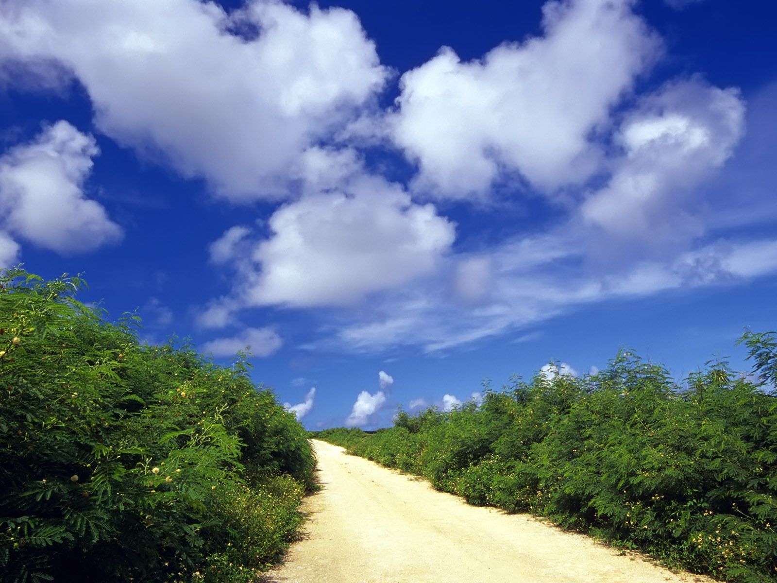 Road Landscape Wallpapers - Top Free Road Landscape Backgrounds ...