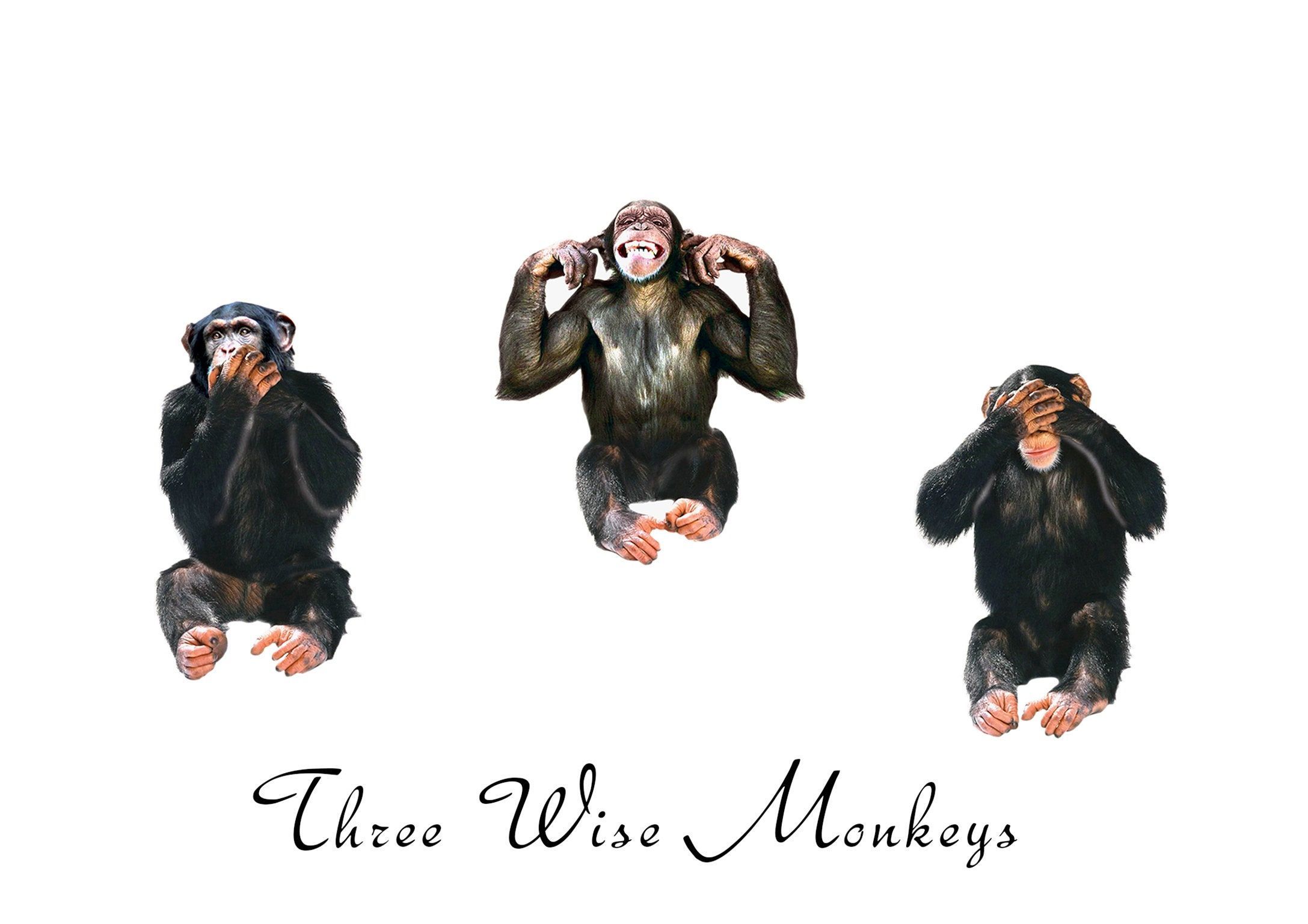 Three Monkeys Wallpapers - Top Free Three Monkeys Backgrounds ...