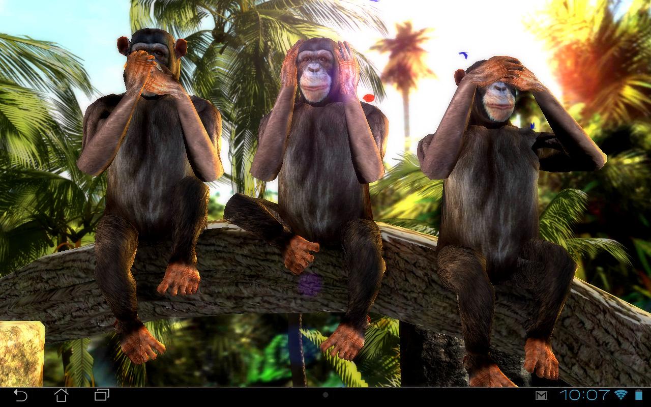 Three Monkeys Wallpapers - Top Free Three Monkeys Backgrounds ...