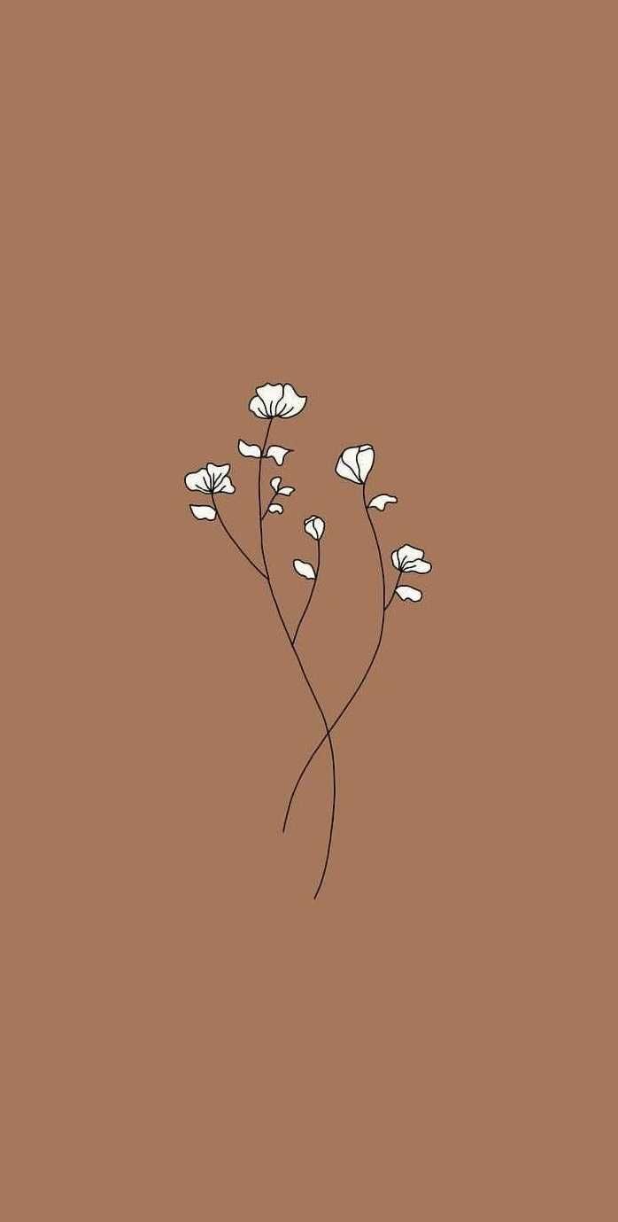 Simple Brown Wallpapers - Top Free Simple Brown Backgrounds ...