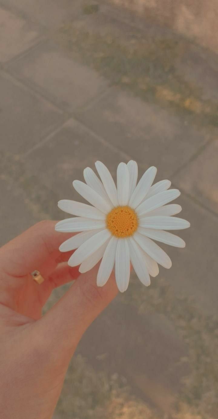 Girl Hand Wallpapers - Top Free Girl Hand Backgrounds - WallpaperAccess