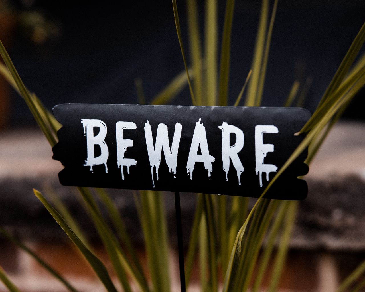 Beware Wallpapers - Top Free Beware Backgrounds - WallpaperAccess