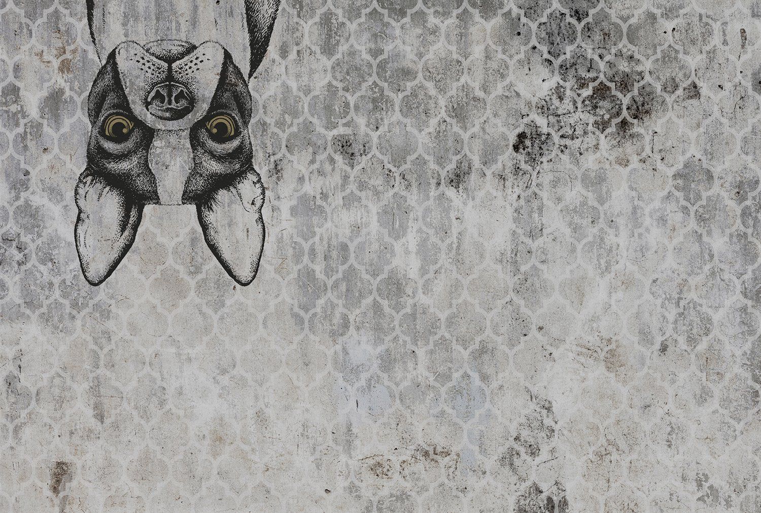 Beware Wallpapers - Top Free Beware Backgrounds - WallpaperAccess