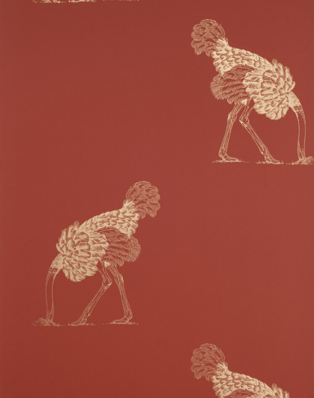 Beware Wallpapers - Top Free Beware Backgrounds - WallpaperAccess