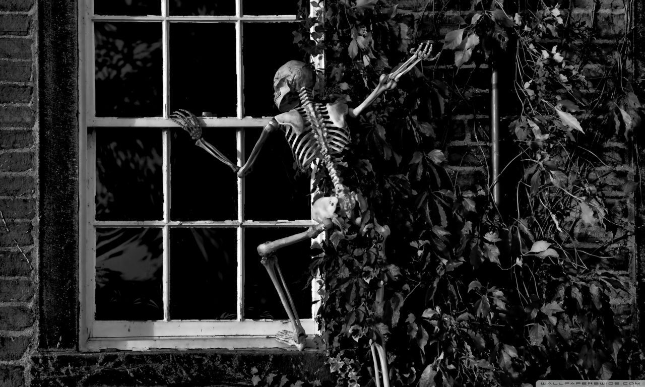 Beware Wallpapers - Top Free Beware Backgrounds - WallpaperAccess