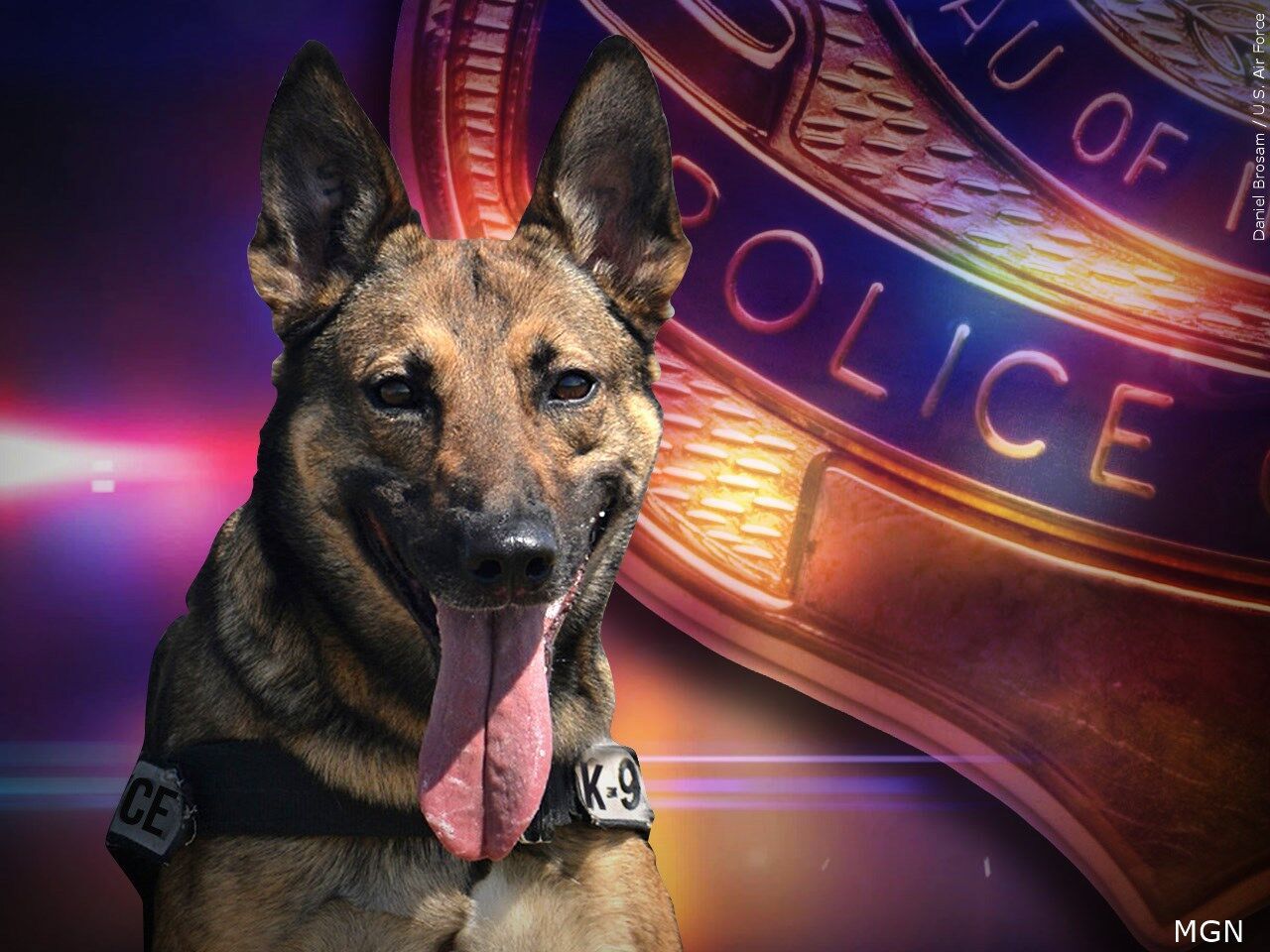 K9 Dog Wallpapers - Top Free K9 Dog Backgrounds - WallpaperAccess