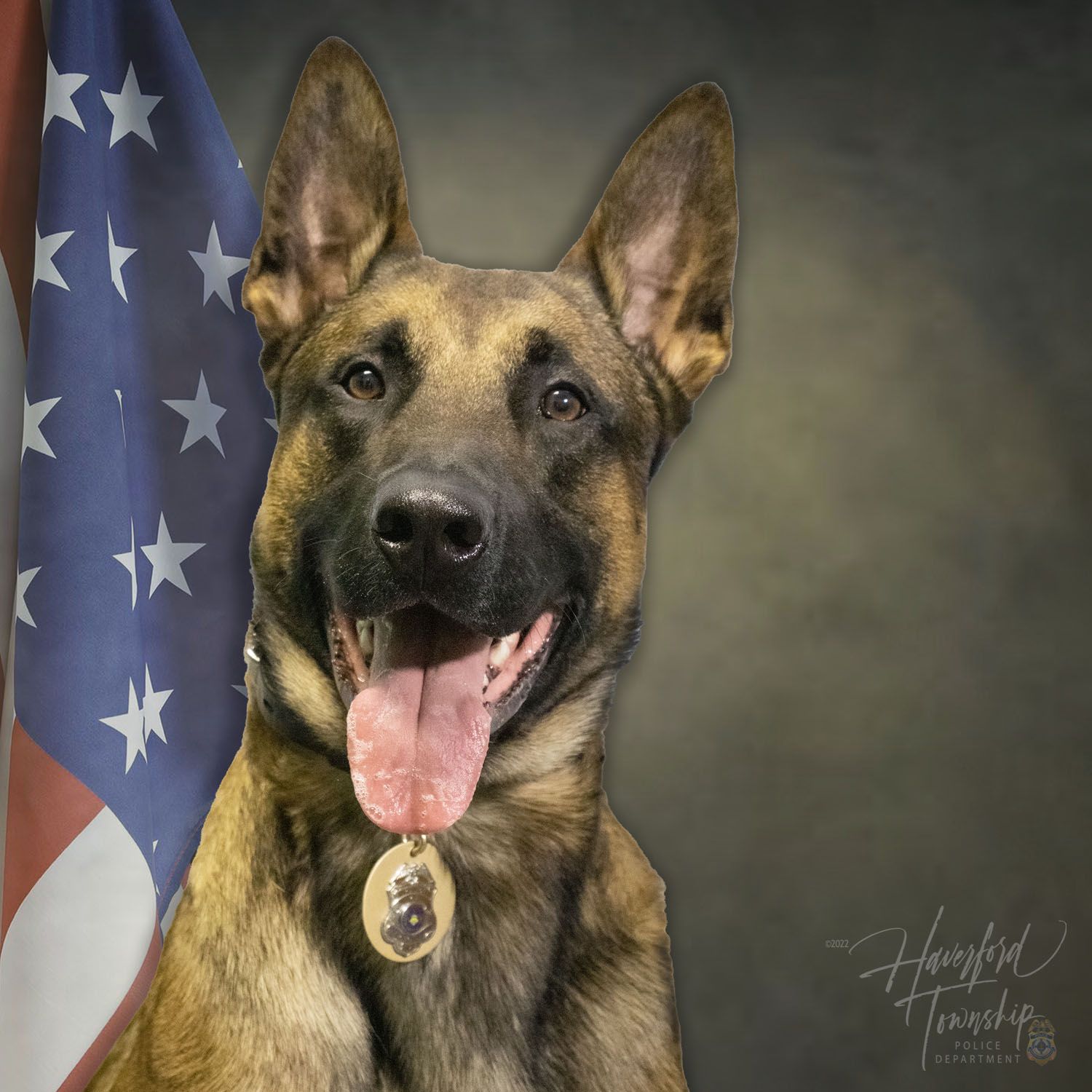 K9 Dog Wallpapers - Top Free K9 Dog Backgrounds - WallpaperAccess