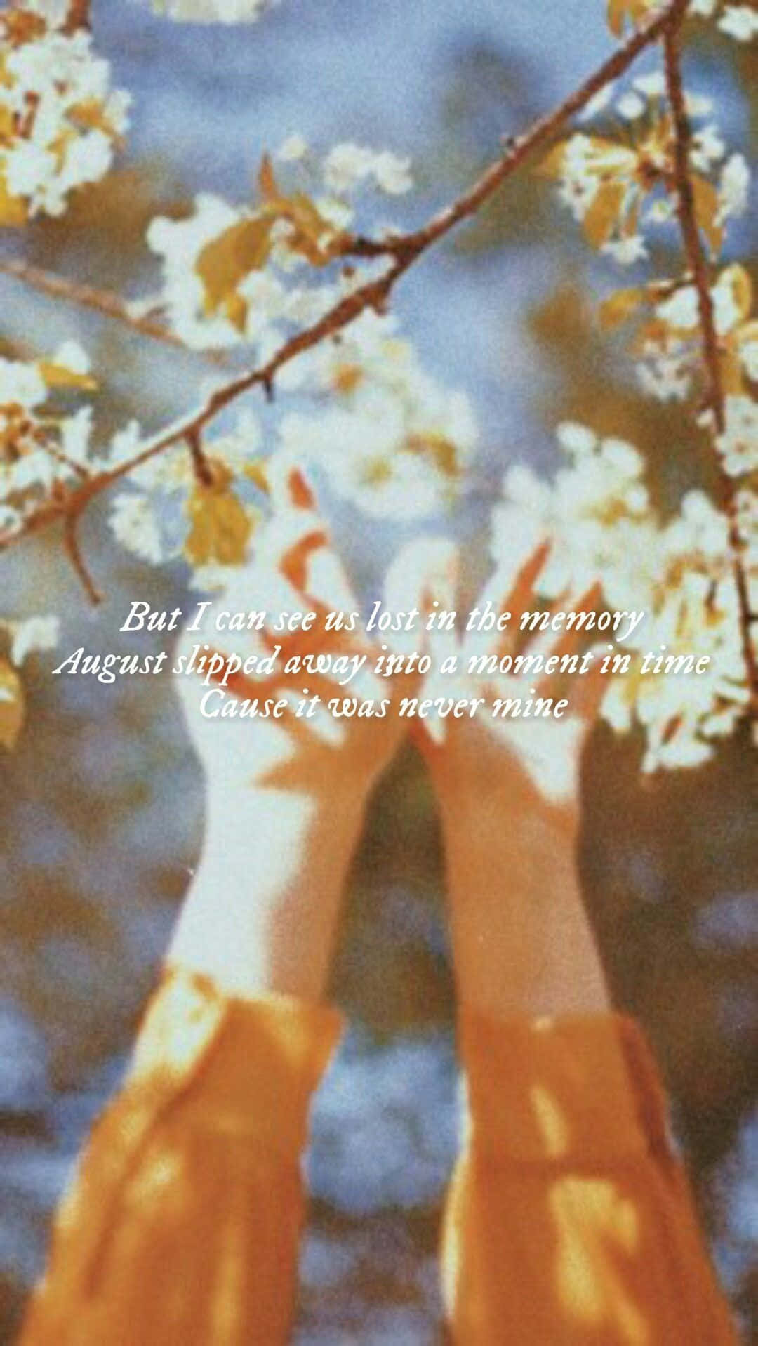 Taylor Swift August Wallpapers - Top Free Taylor Swift August ...