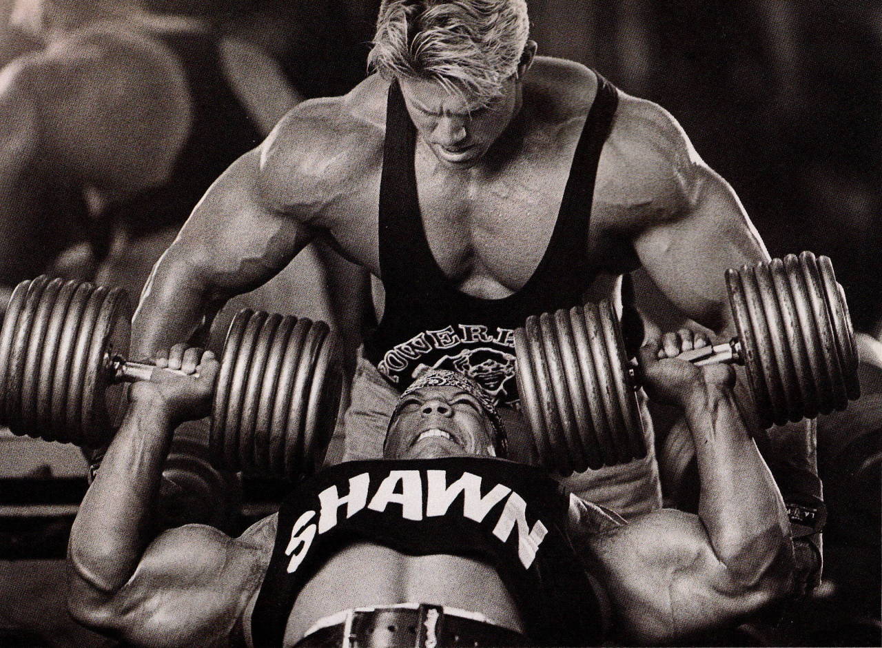 Shawn Ray Wallpapers - Top Free Shawn Ray Backgrounds - WallpaperAccess