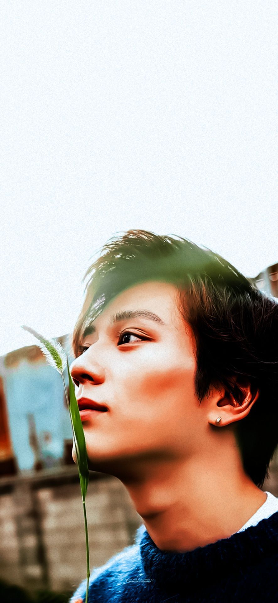 Mackenyu Wallpapers - Top Free Mackenyu Backgrounds - WallpaperAccess