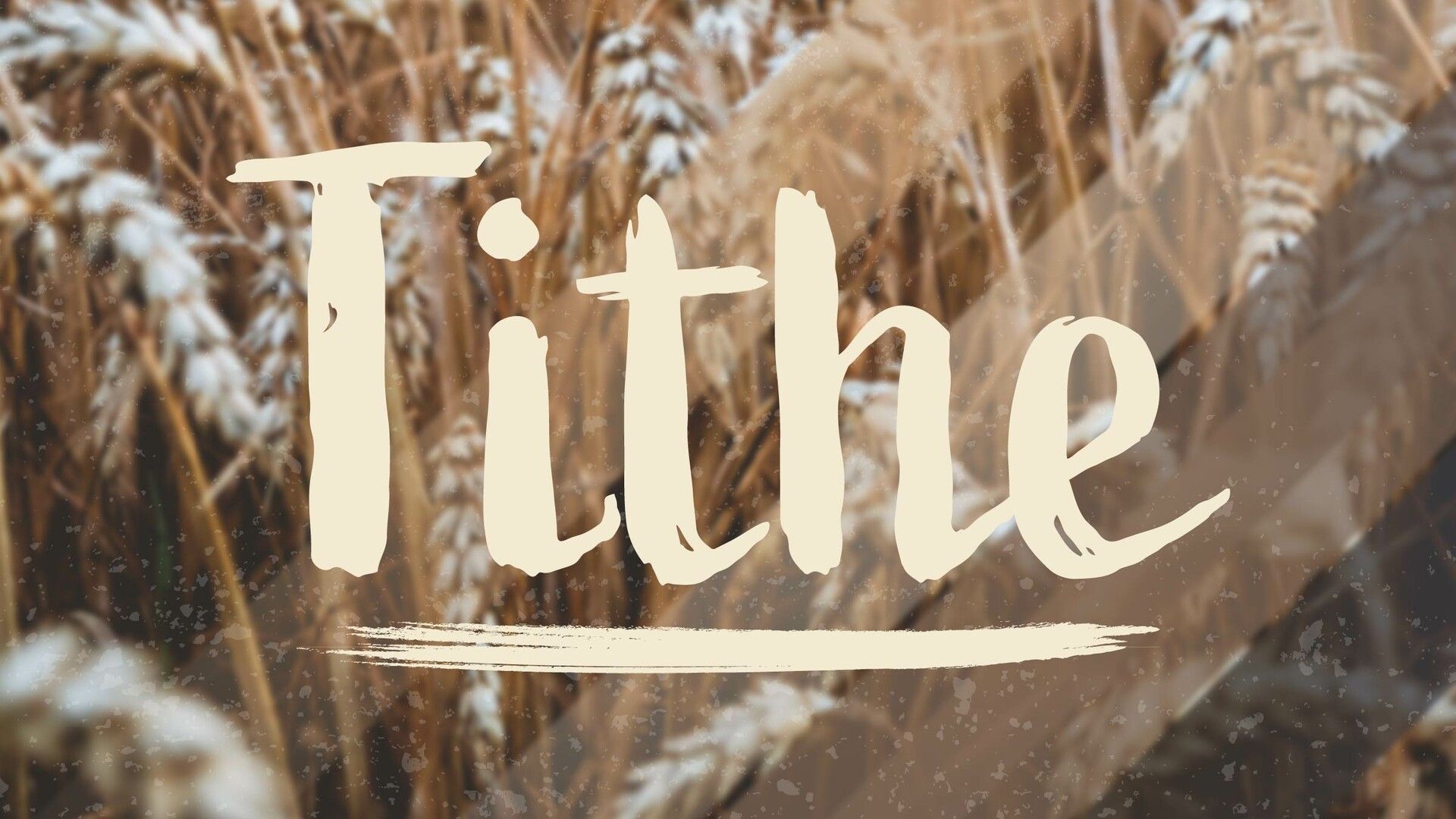 Tithe Wallpapers - Top Free Tithe Backgrounds - WallpaperAccess