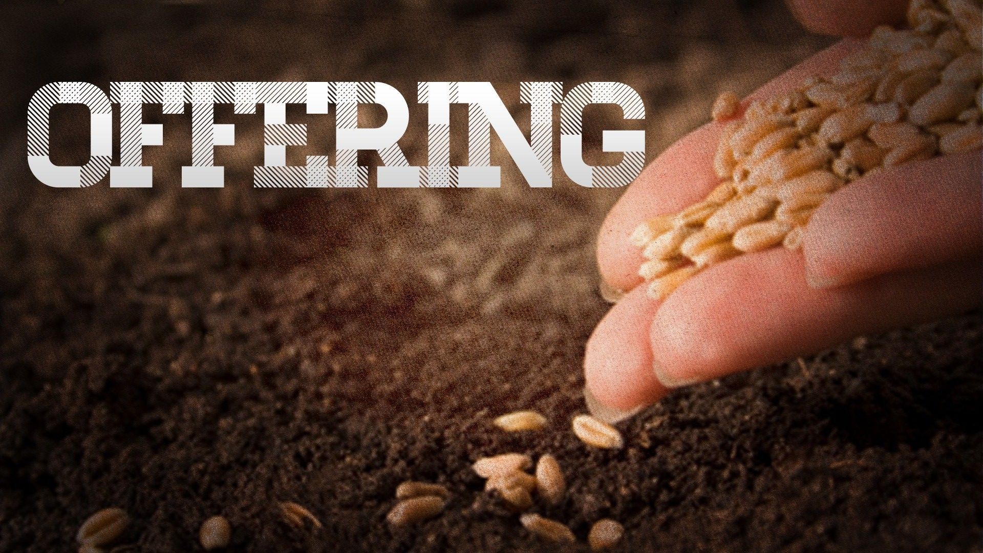 Tithe Wallpapers - Top Free Tithe Backgrounds - WallpaperAccess