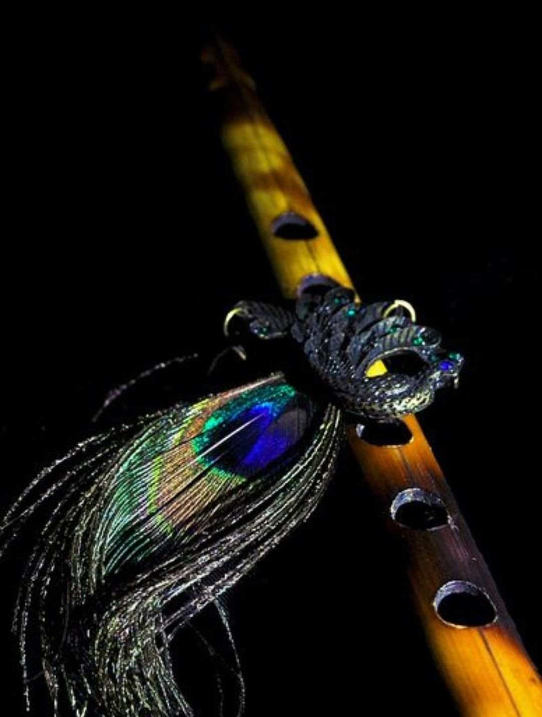 Mayur Pankh Wallpapers - Top Free Mayur Pankh Backgrounds - WallpaperAccess