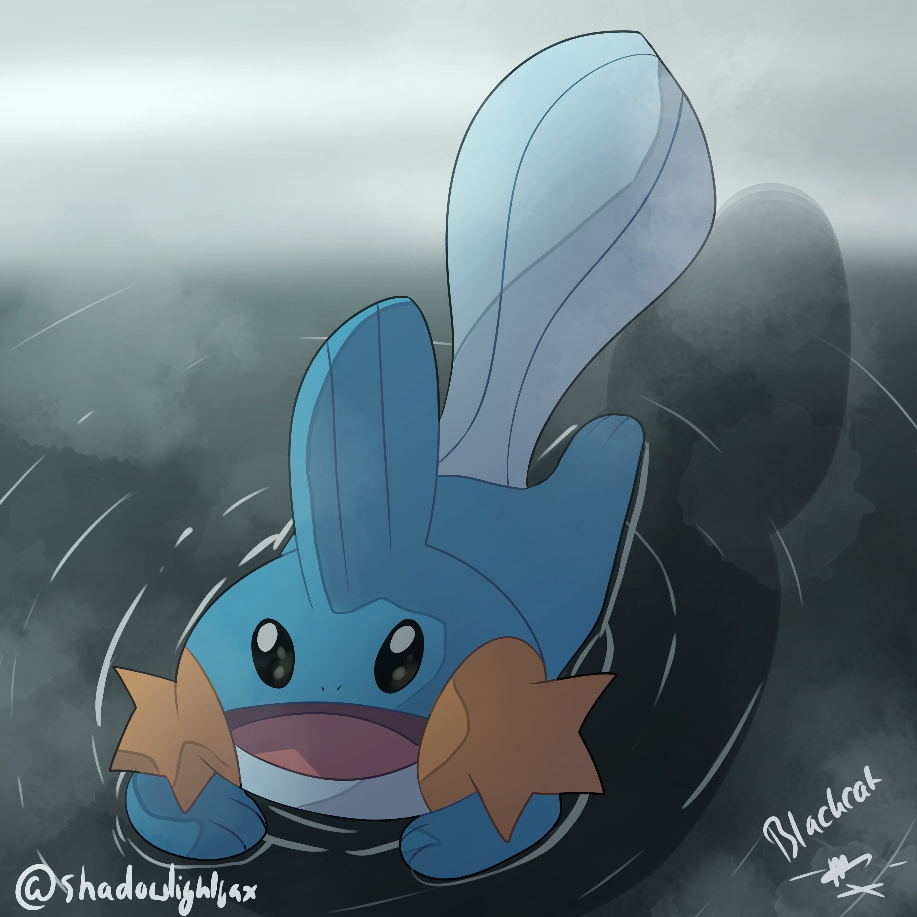 Marshtomp Wallpapers - Top Free Marshtomp Backgrounds - WallpaperAccess