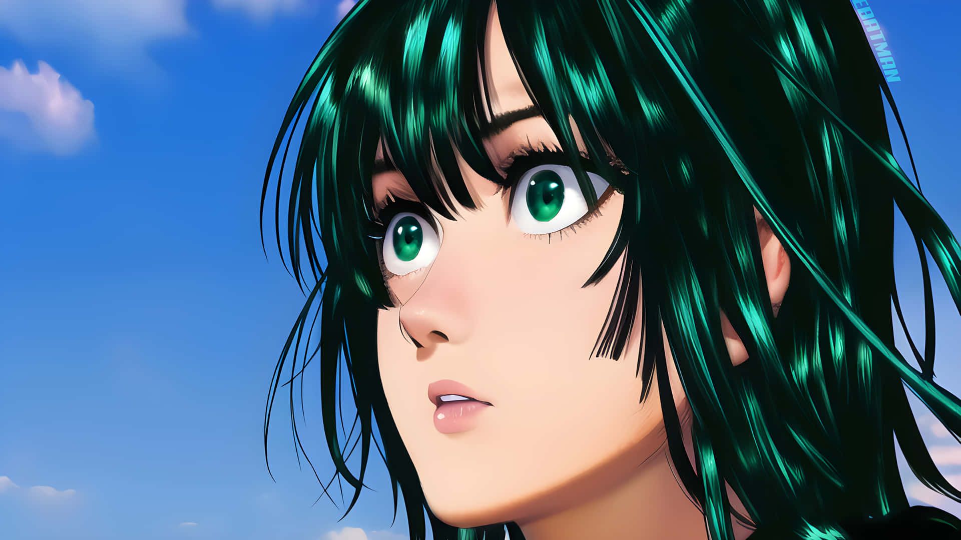 Fubuki One Punch Man Wallpapers - Top Free Fubuki One Punch Man ...