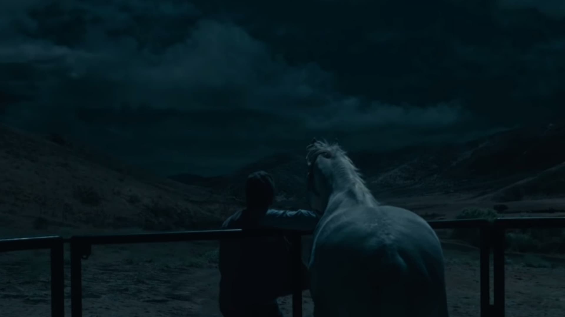 Nope Movie Wallpapers - Top Free Nope Movie Backgrounds - WallpaperAccess