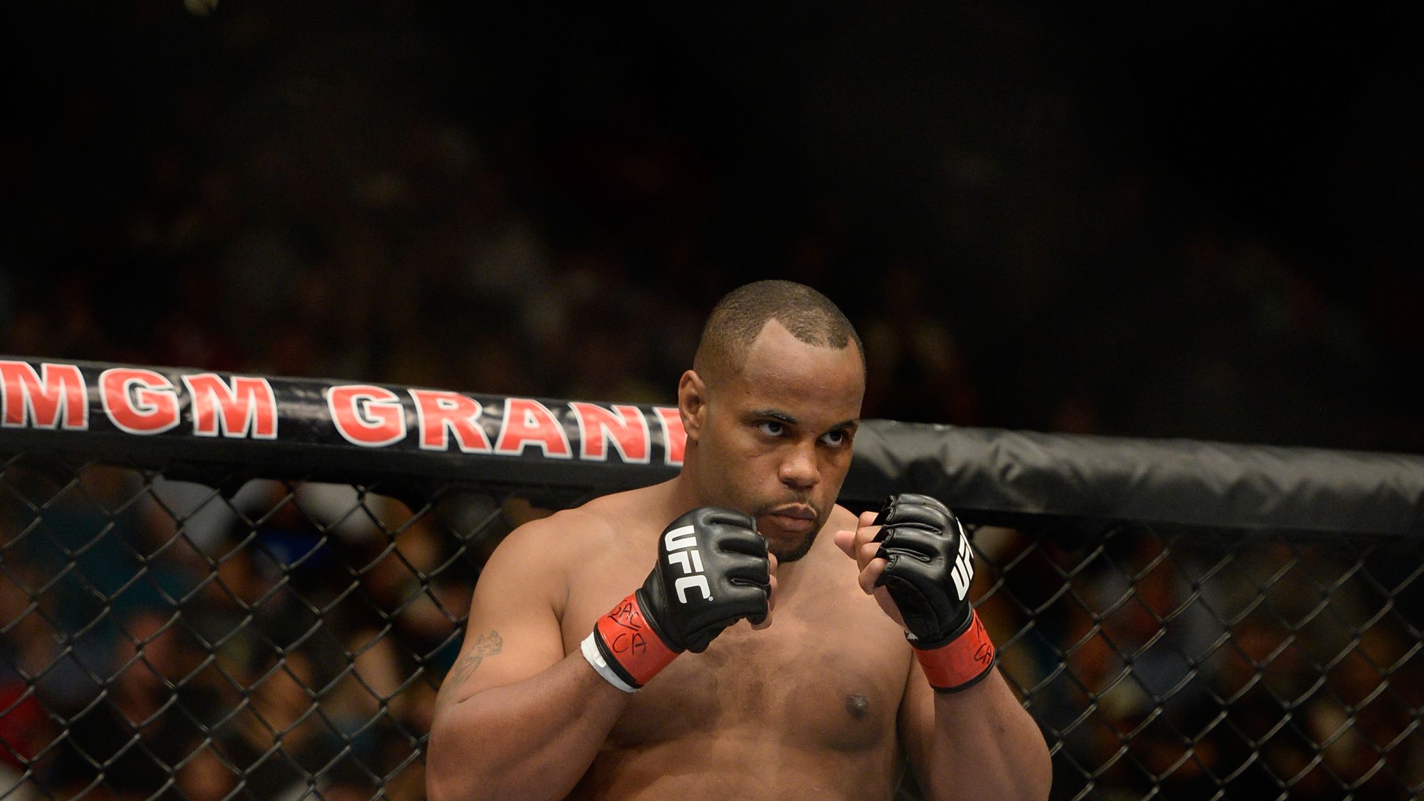 Daniel Cormier Wallpapers - Top Free Daniel Cormier Backgrounds - WallpaperAccess