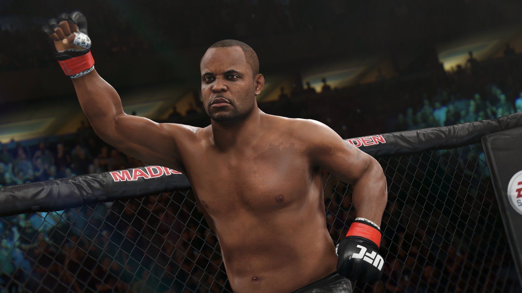 Daniel Cormier Wallpapers - Top Free Daniel Cormier Backgrounds - WallpaperAccess
