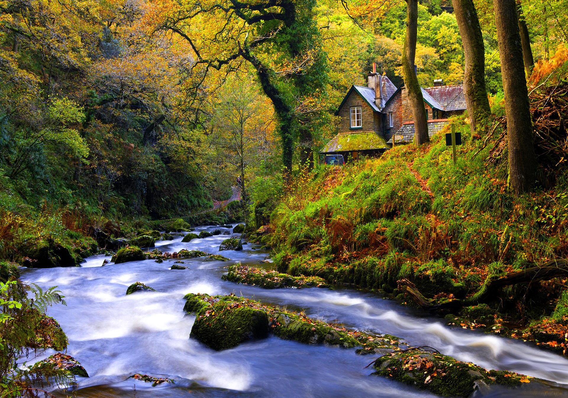 Forest Cottage Wallpapers - Top Free Forest Cottage Backgrounds ...