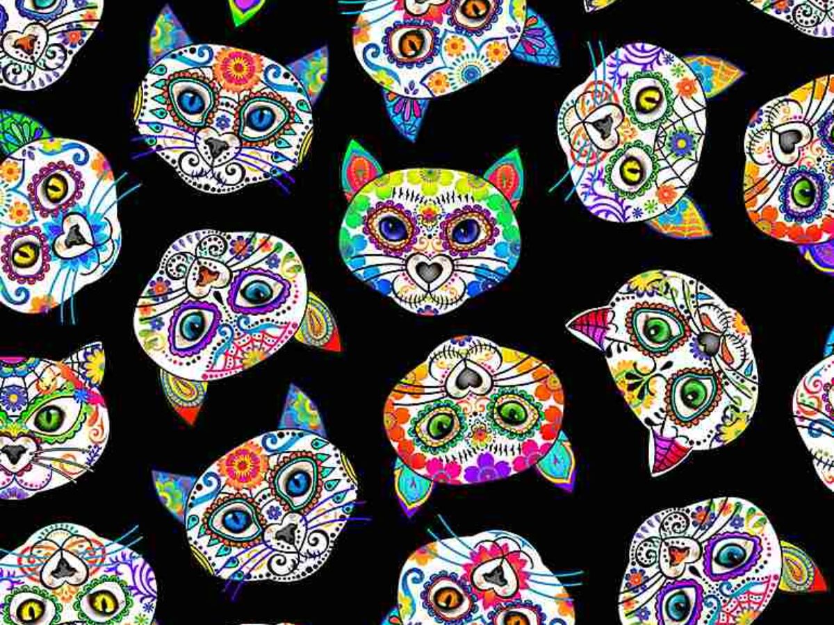 Sugar Skull Cat Wallpapers - Top Free Sugar Skull Cat Backgrounds ...
