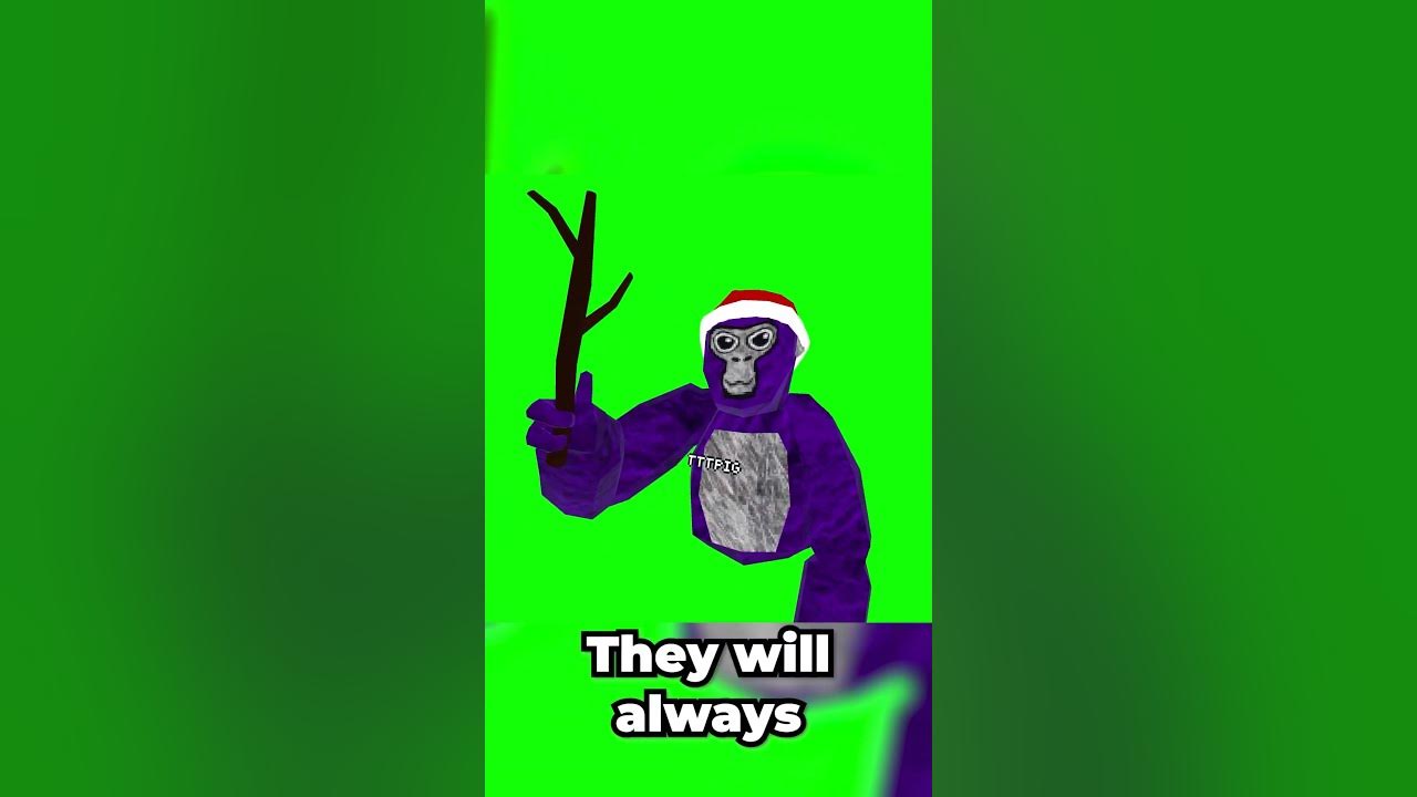 TTTPig Wallpapers - Top Free TTTPig Backgrounds - WallpaperAccess