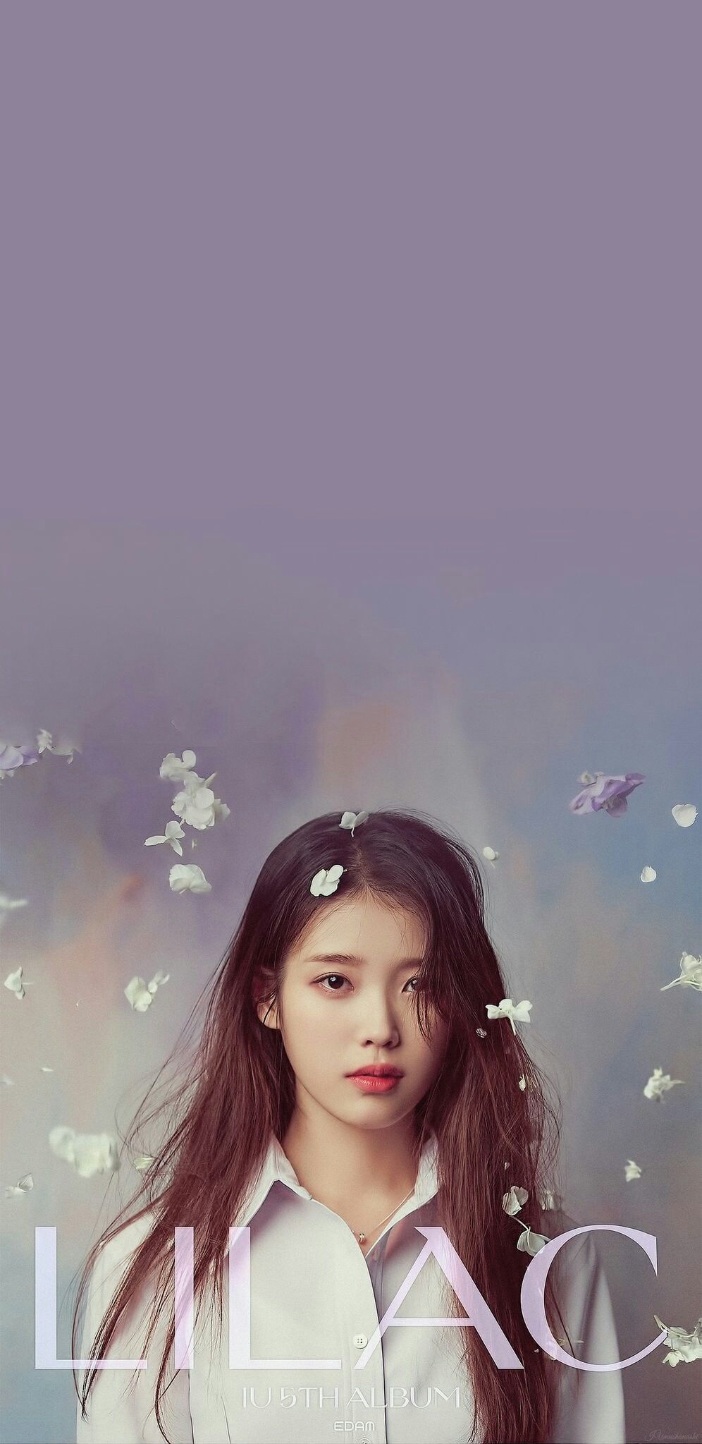 IU Lilac Wallpapers - Top Free IU Lilac Backgrounds - WallpaperAccess