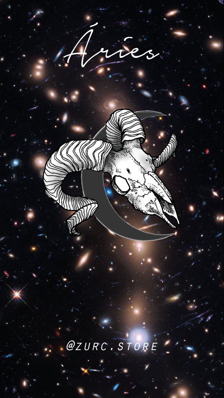 Signo Wallpapers - Top Free Signo Backgrounds - WallpaperAccess