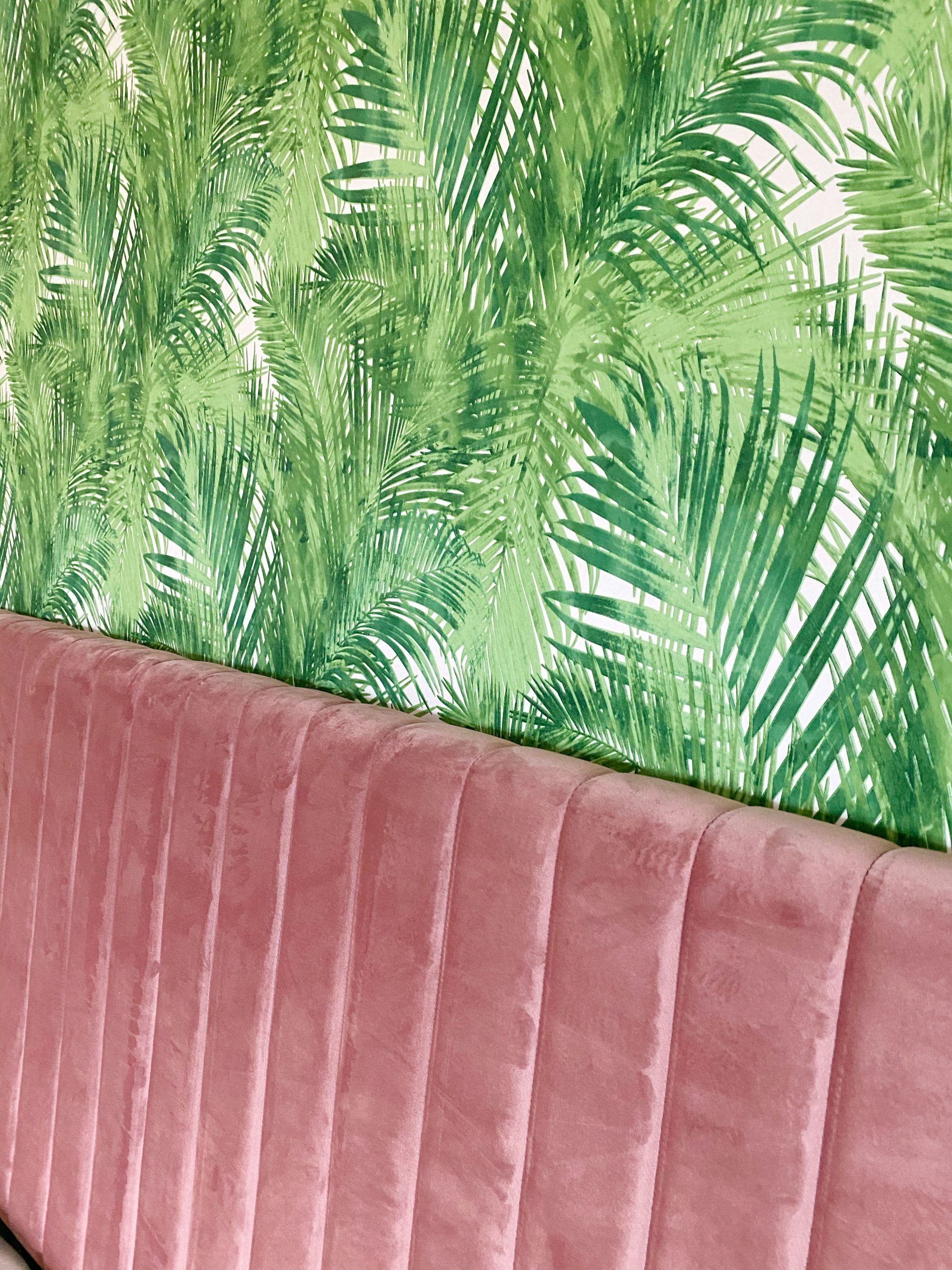 Apply Wallpapers - Top Free Apply Backgrounds - WallpaperAccess