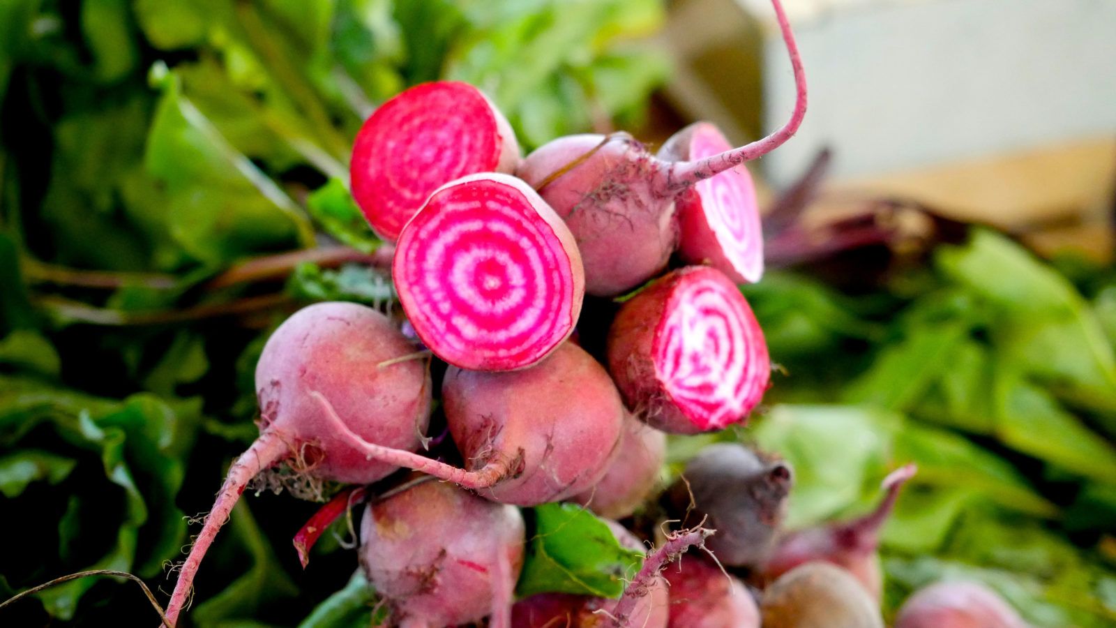 Beetroot Wallpapers - Top Free Beetroot Backgrounds - WallpaperAccess