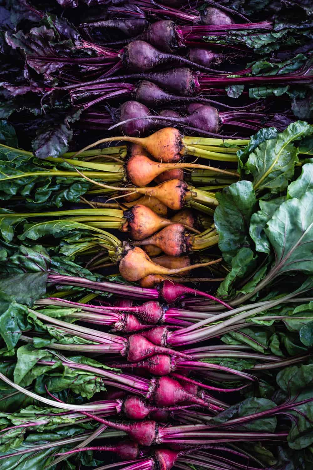 Beetroot Wallpapers - Top Free Beetroot Backgrounds - WallpaperAccess