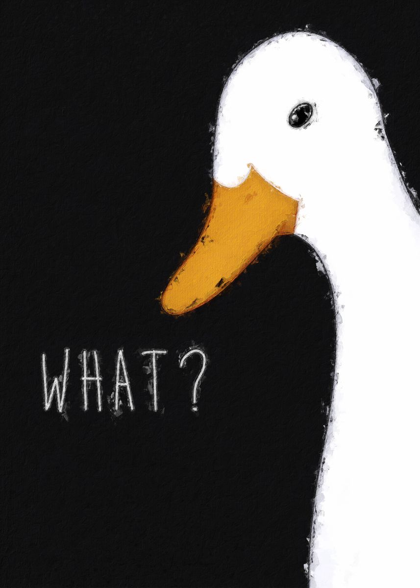 Duck Meme Wallpapers - Top Free Duck Meme Backgrounds - WallpaperAccess