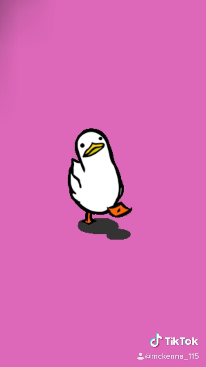 Duck Meme Wallpapers - Top Free Duck Meme Backgrounds - WallpaperAccess