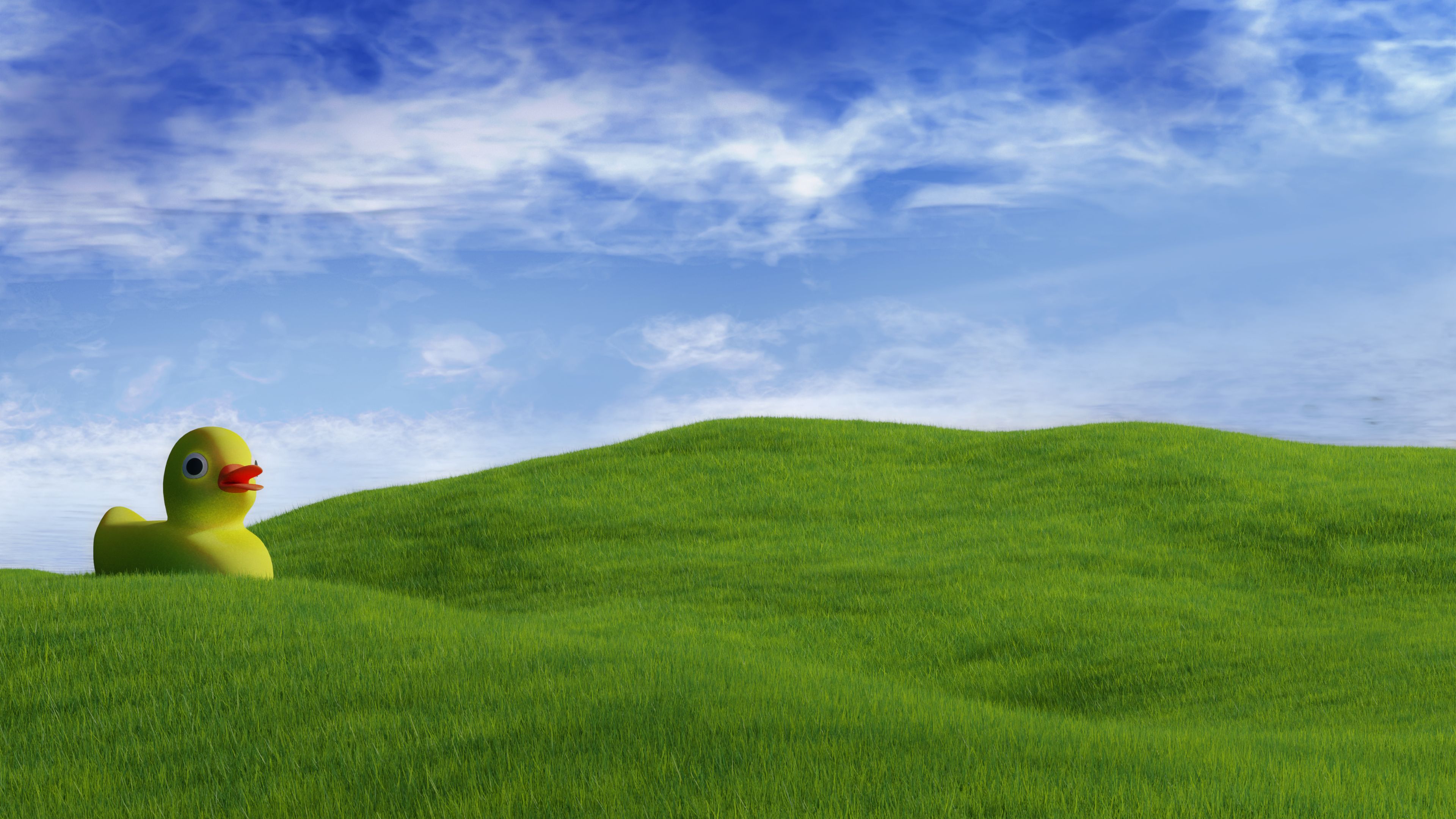 Duck Meme Wallpapers - Top Free Duck Meme Backgrounds - WallpaperAccess