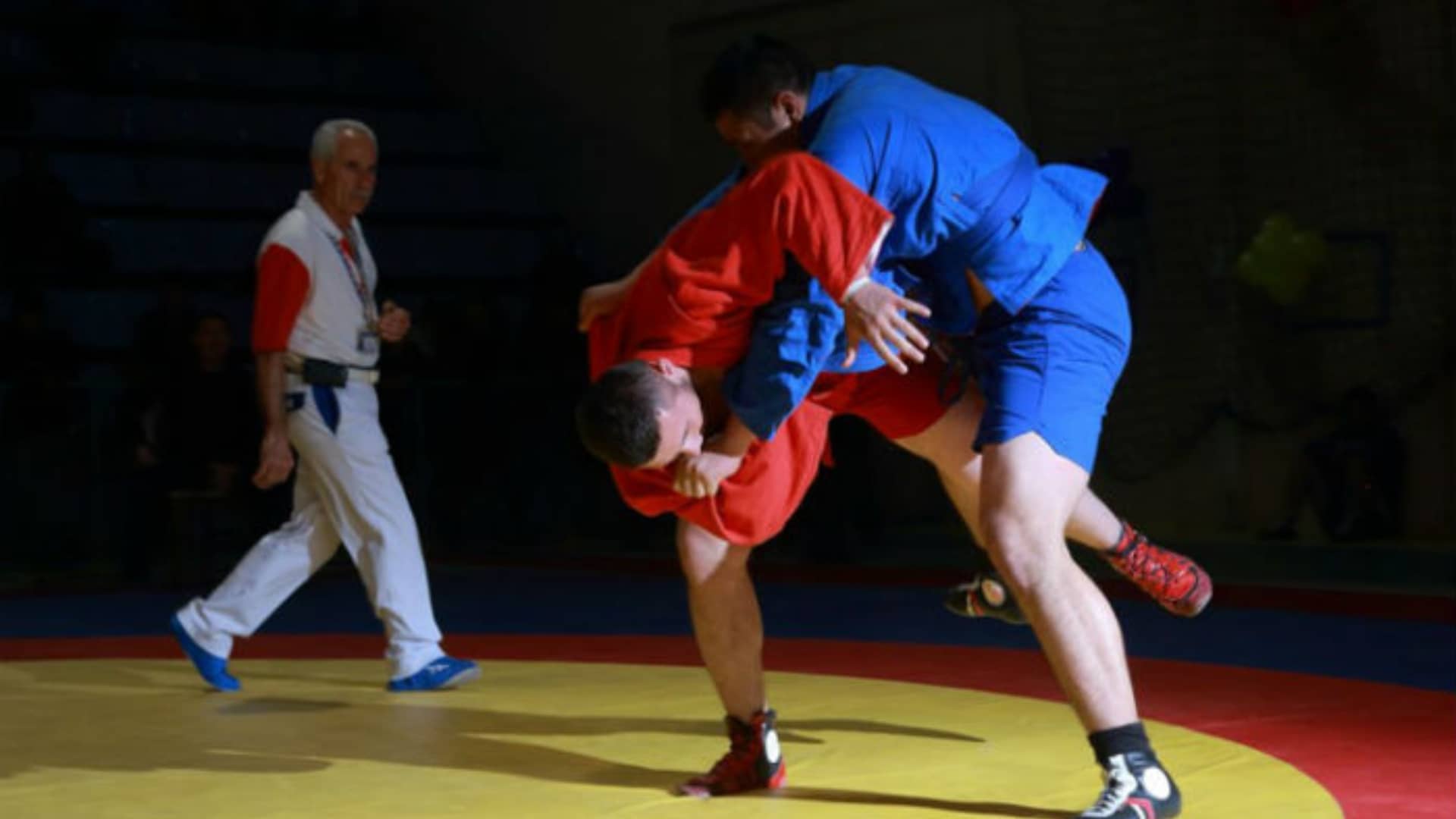 Sambo Wallpapers - Top Free Sambo Backgrounds - WallpaperAccess