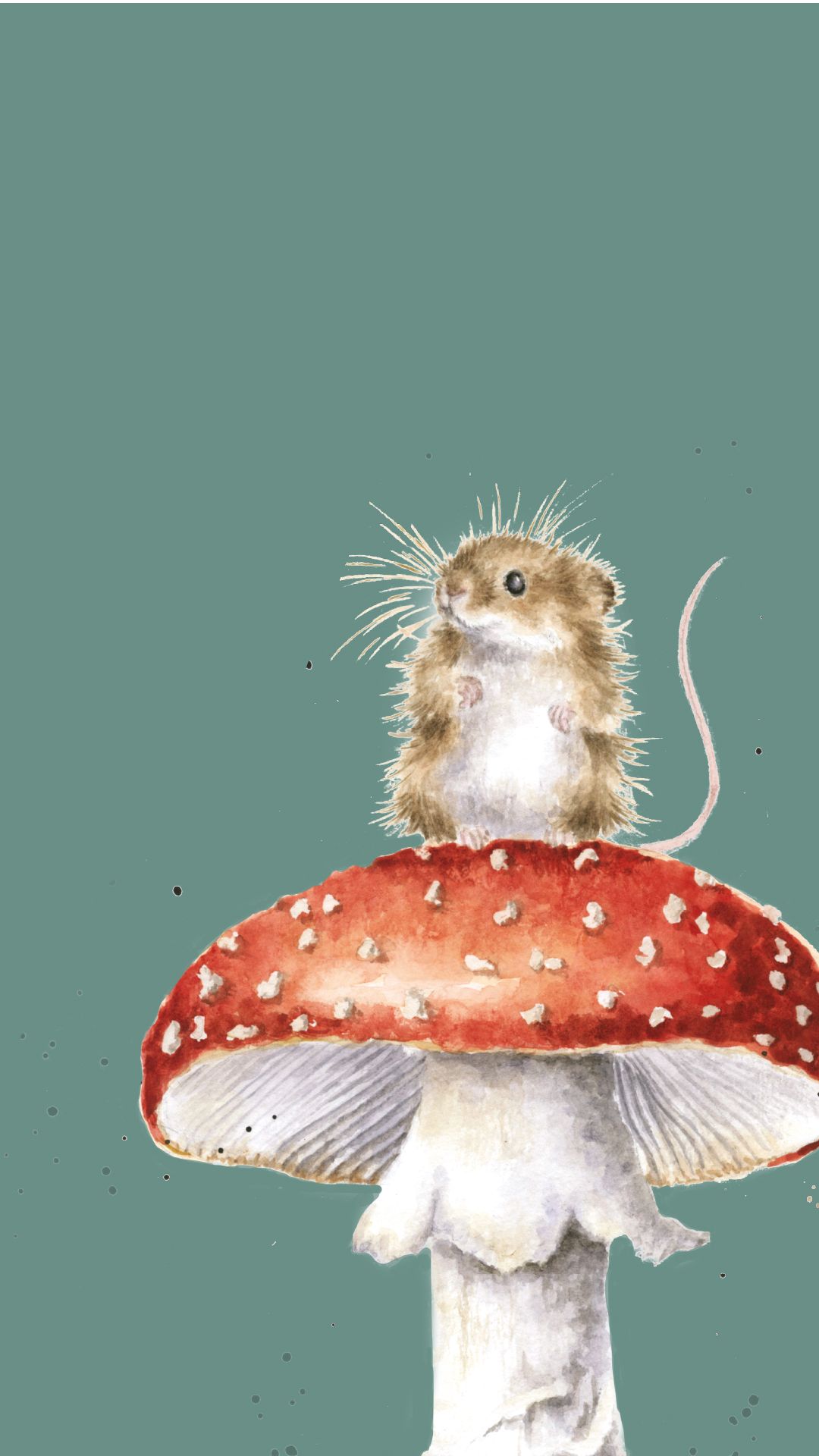 Rodent Wallpapers - Top Free Rodent Backgrounds - WallpaperAccess