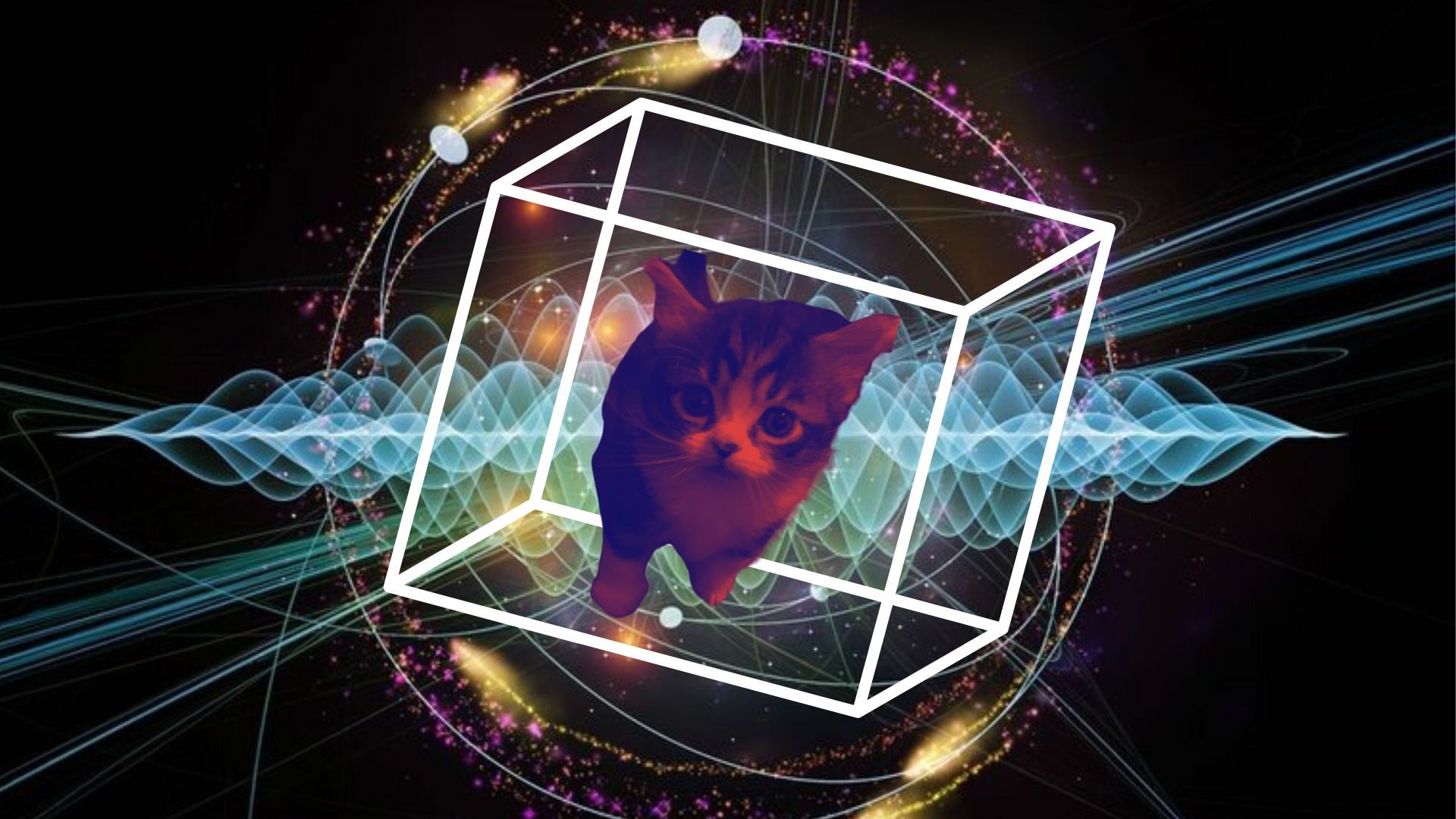Schrodinger's Cat Wallpapers - Top Free Schrodinger's Cat Backgrounds ...