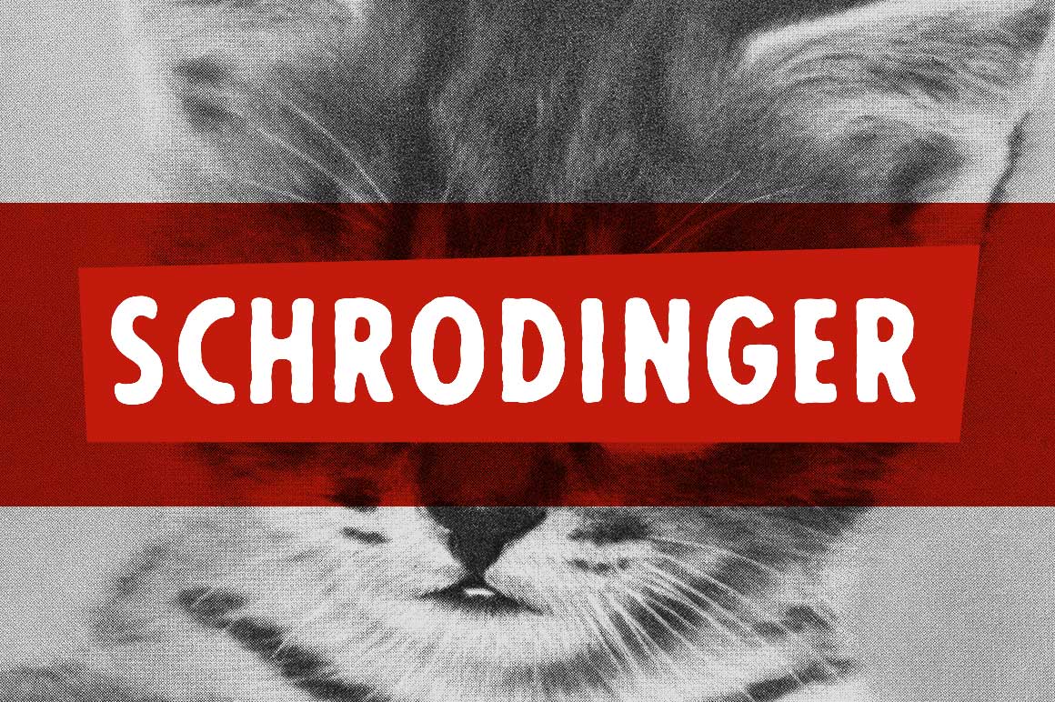 Schrodinger's Cat Wallpapers - Top Free Schrodinger's Cat Backgrounds ...