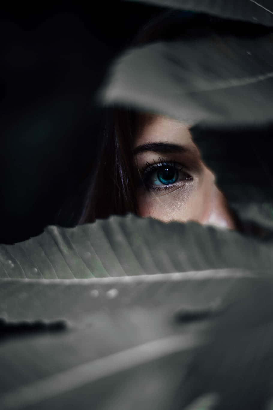 Hide Face Wallpapers - Top Free Hide Face Backgrounds - WallpaperAccess