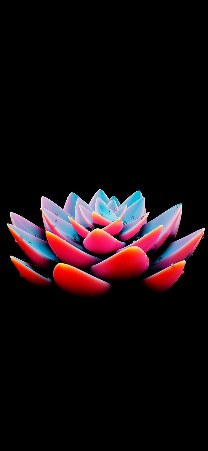 Black Amoled 4k Wallpapers - Top Free Black Amoled 4k Backgrounds ...