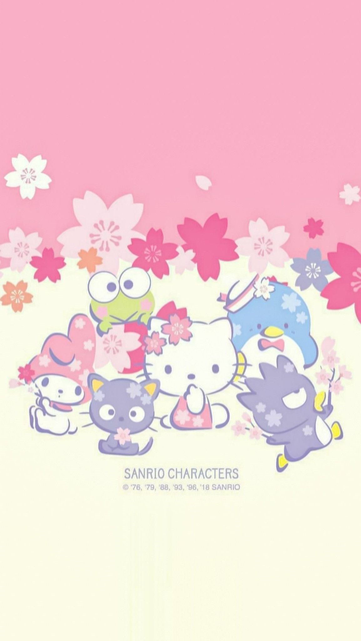 4k Sanrio Wallpapers - Top Free 4k Sanrio Backgrounds - WallpaperAccess