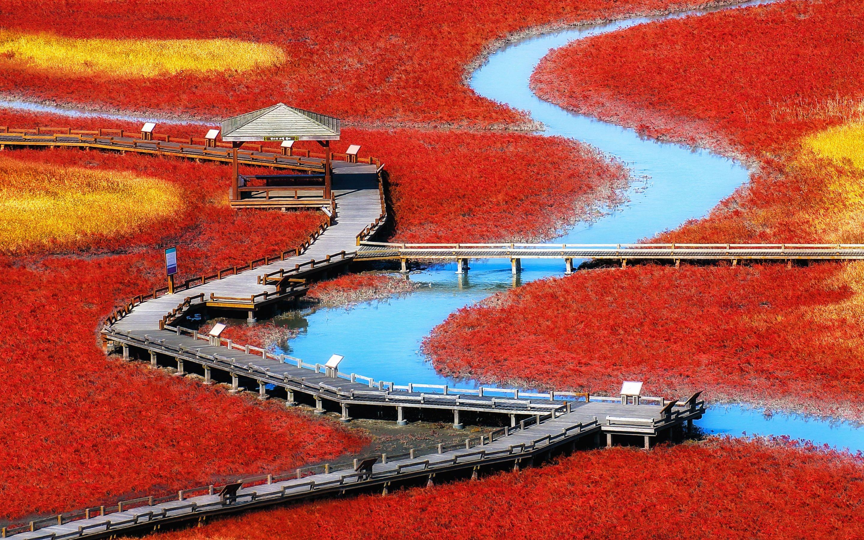 Cool Google Landscape Wallpapers - Top Free Cool Google Landscape ...