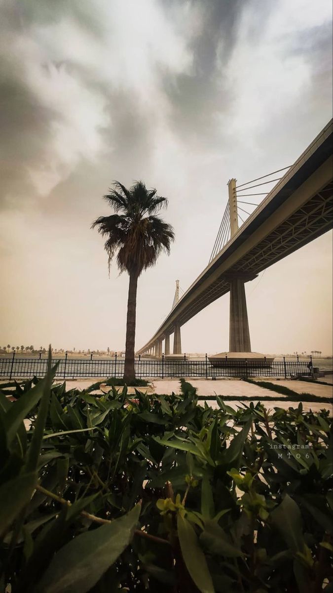 Basra Wallpapers - Top Free Basra Backgrounds - WallpaperAccess