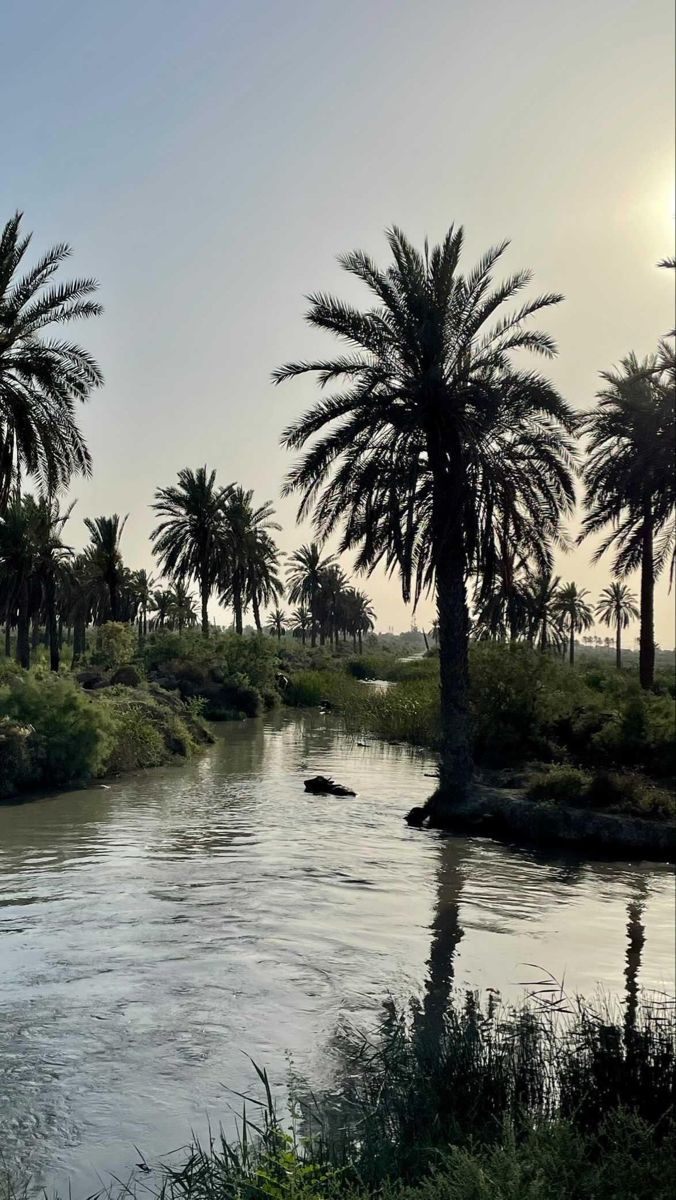 Basra Wallpapers - Top Free Basra Backgrounds - WallpaperAccess