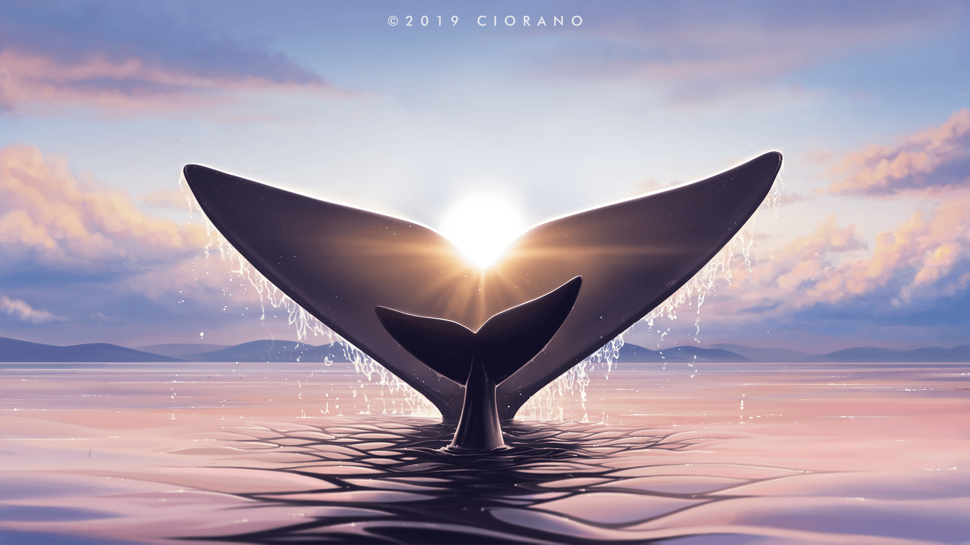 Whale Tail Wallpapers - Top Free Whale Tail Backgrounds - WallpaperAccess