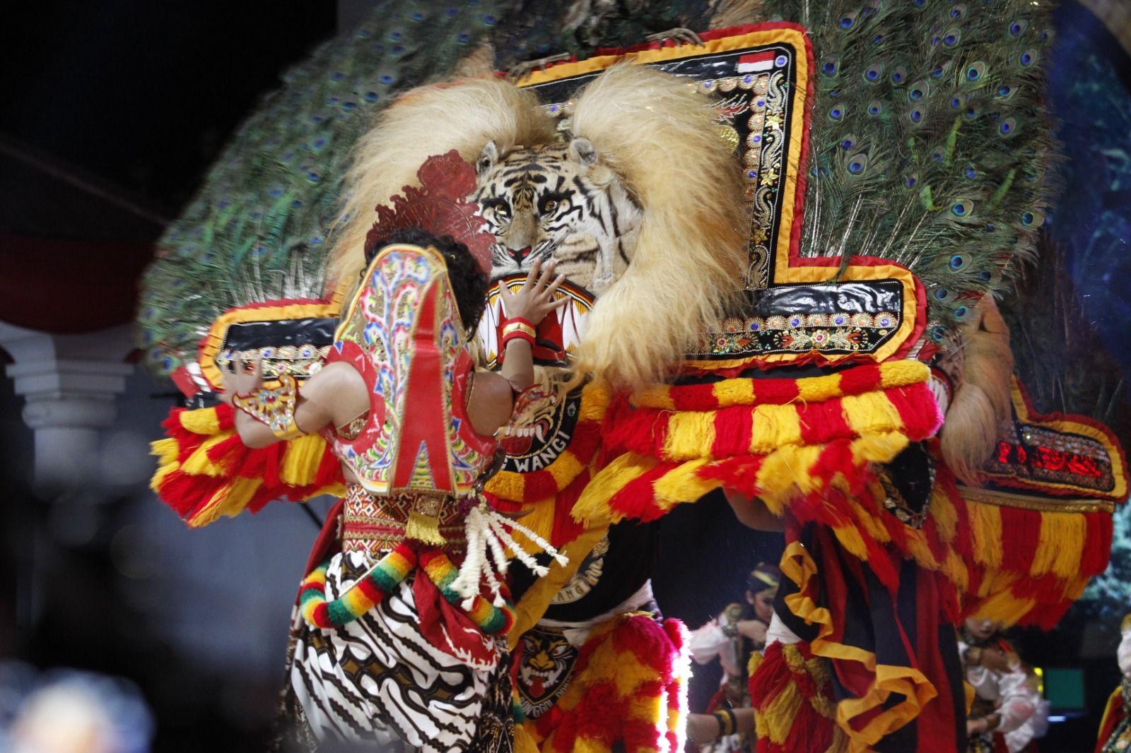 Reog Wallpapers - Top Free Reog Backgrounds - WallpaperAccess