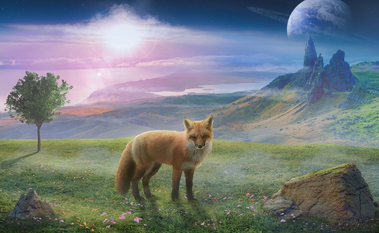 Fantasy Fox Wallpapers - Top Free Fantasy Fox Backgrounds - WallpaperAccess
