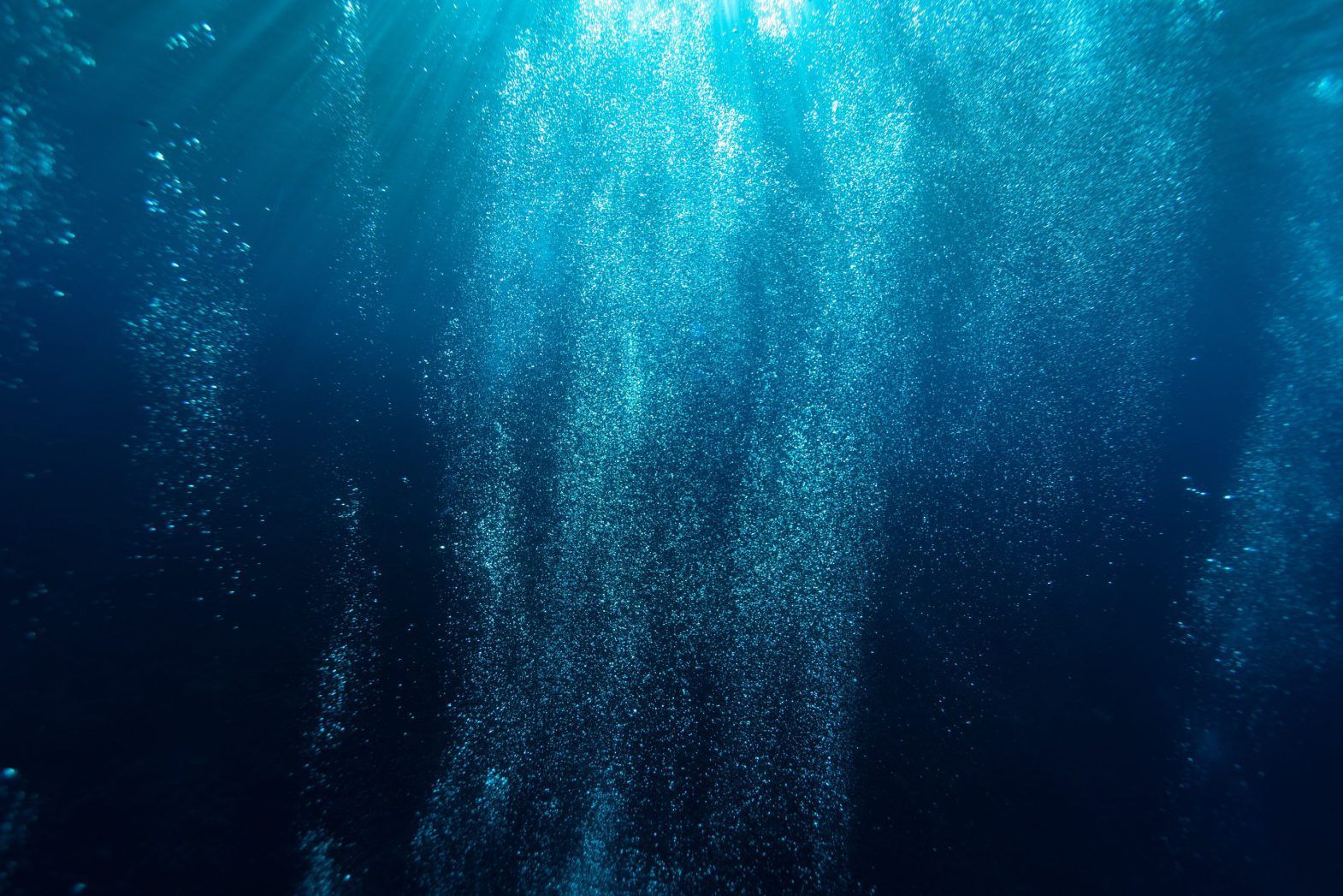 Aquaculture Wallpapers - Top Free Aquaculture Backgrounds - WallpaperAccess