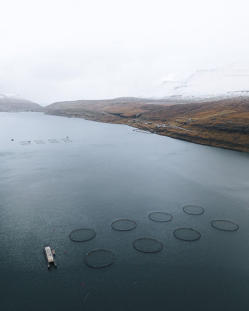 Aquaculture Wallpapers - Top Free Aquaculture Backgrounds - WallpaperAccess