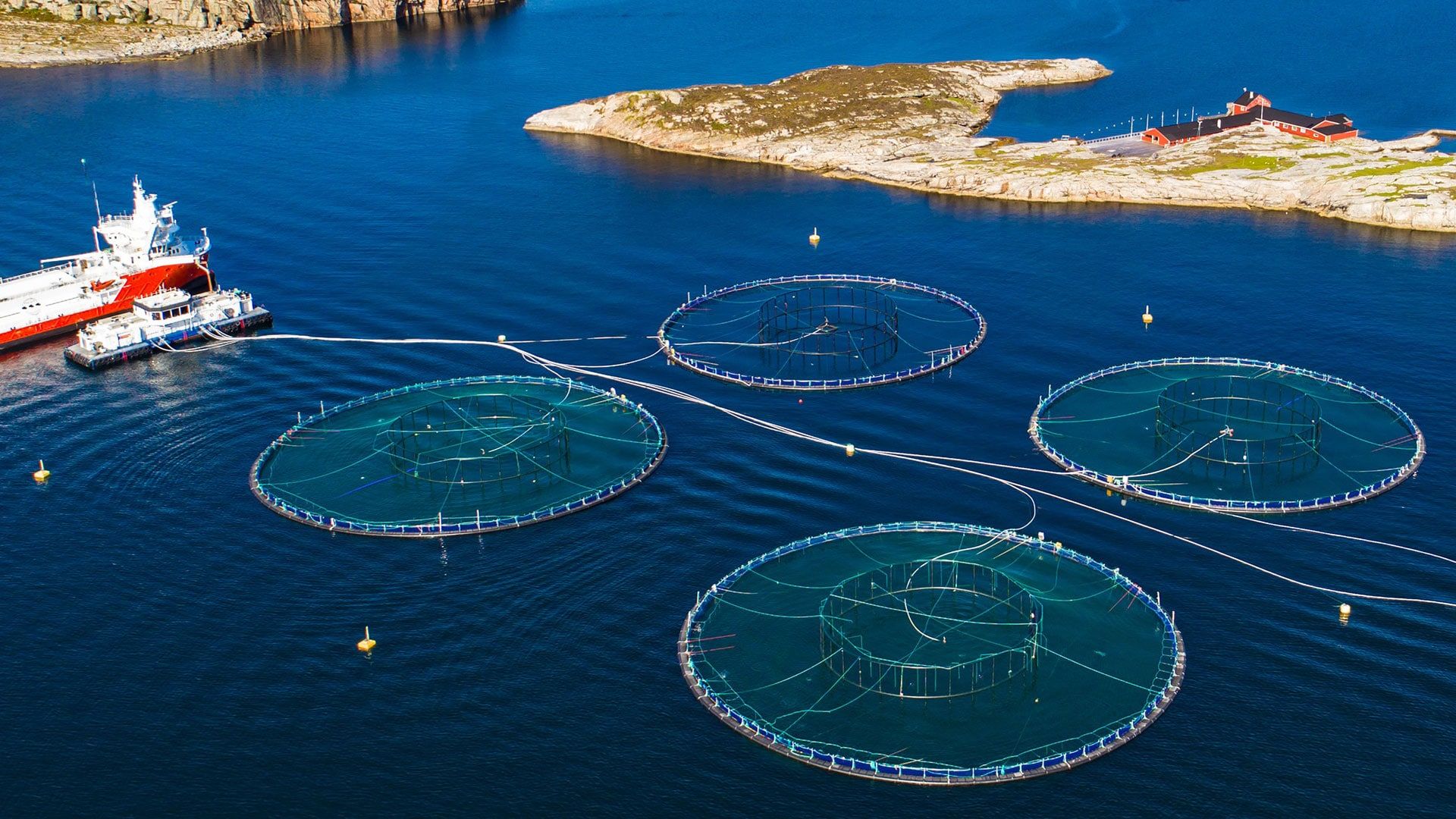 Aquaculture Wallpapers - Top Free Aquaculture Backgrounds - WallpaperAccess